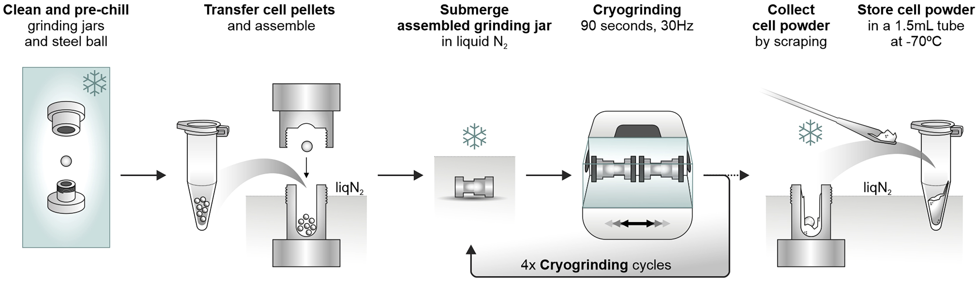 Cell Press: STAR Protocols