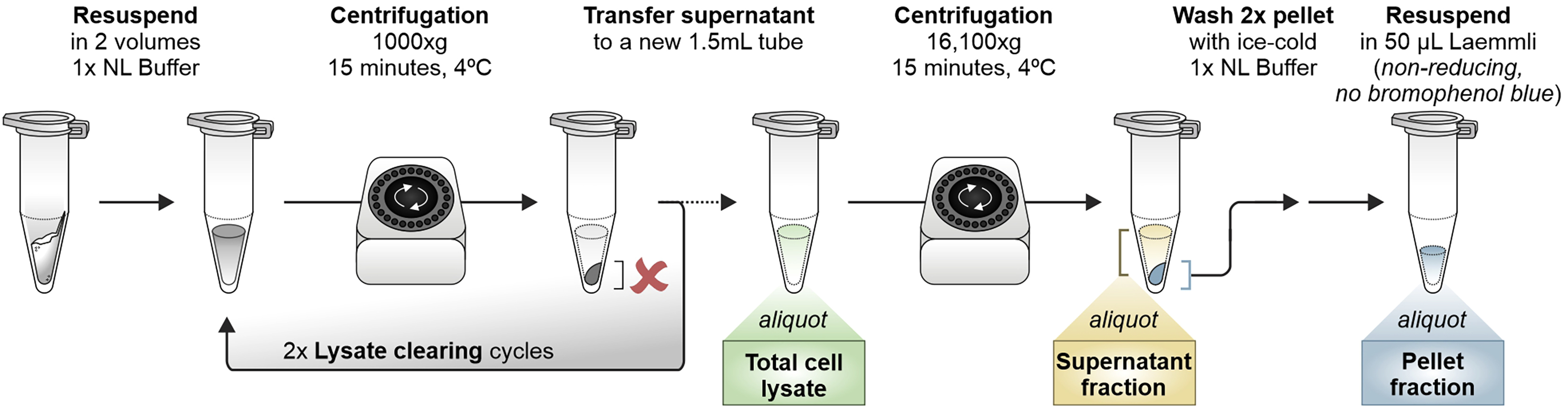 Cell Press: STAR Protocols