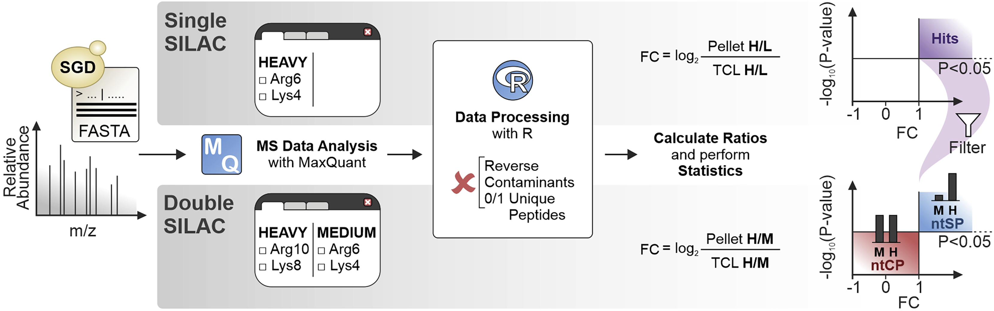 Cell Press: STAR Protocols