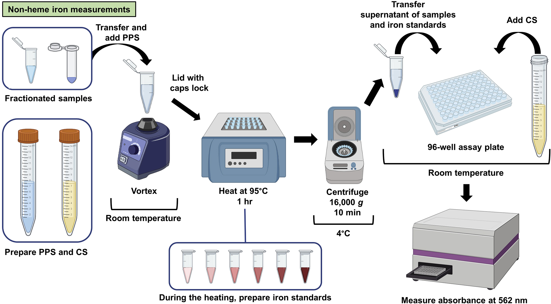 Cell Press: STAR Protocols