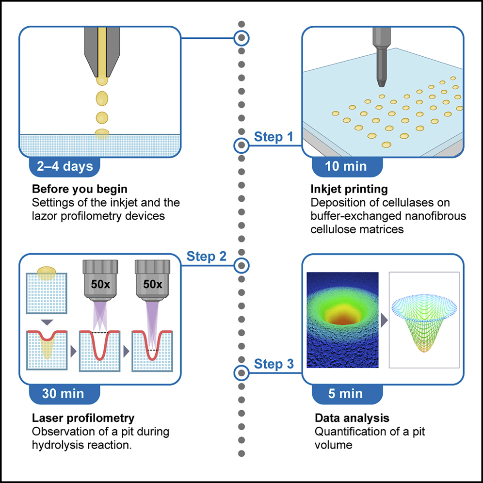 Cell Press: STAR Protocols