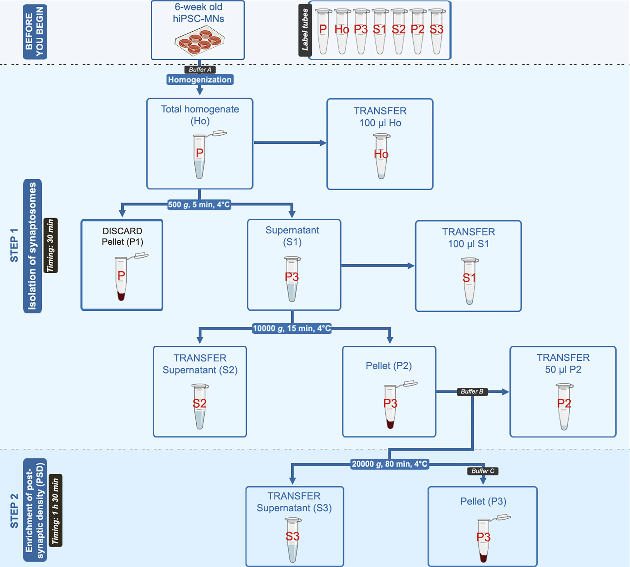 Cell Press: STAR Protocols