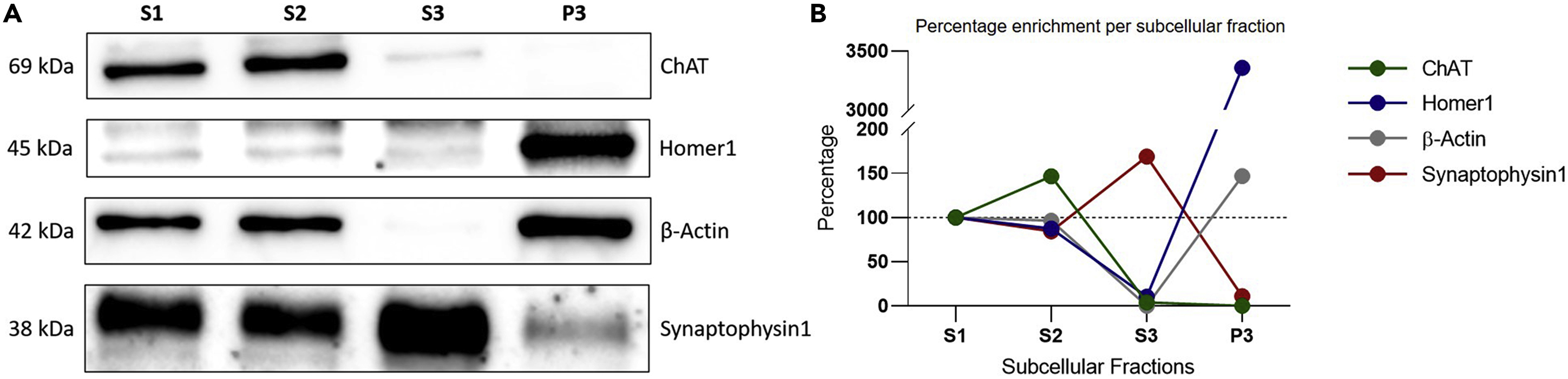 Cell Press: STAR Protocols