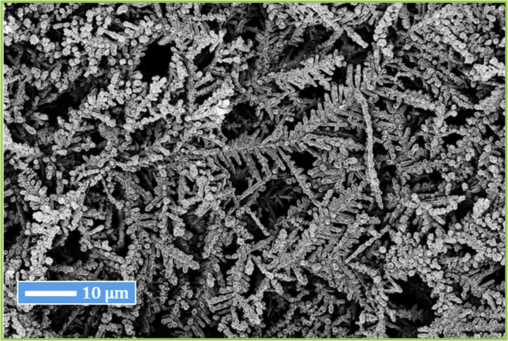 Cell Press: STAR Protocols