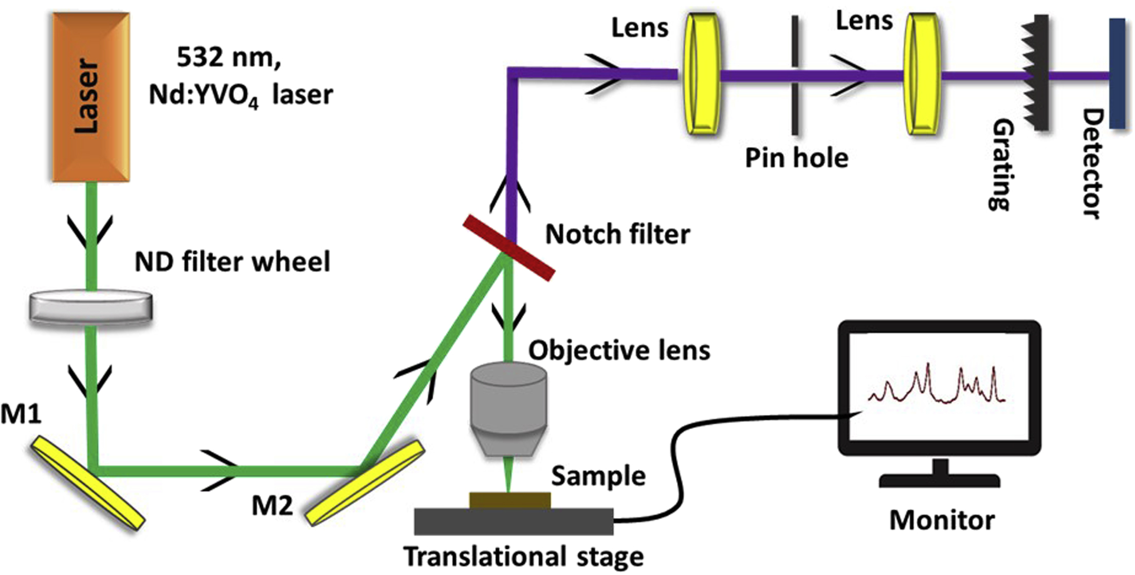 Cell Press: STAR Protocols