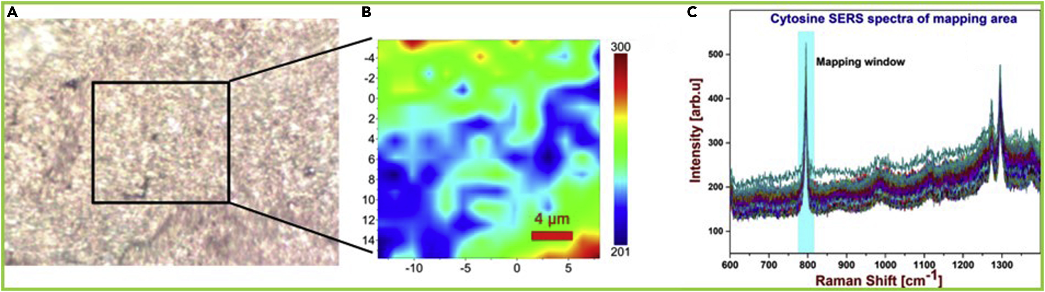 Cell Press: STAR Protocols