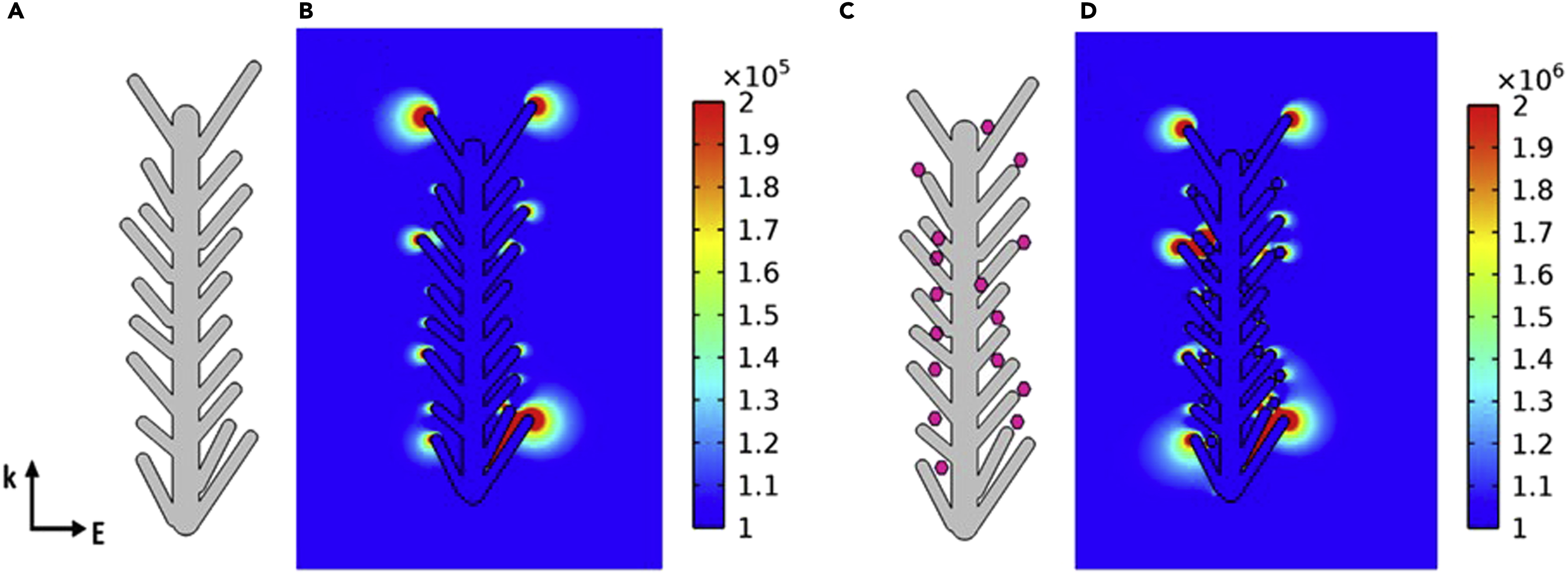 Cell Press: STAR Protocols