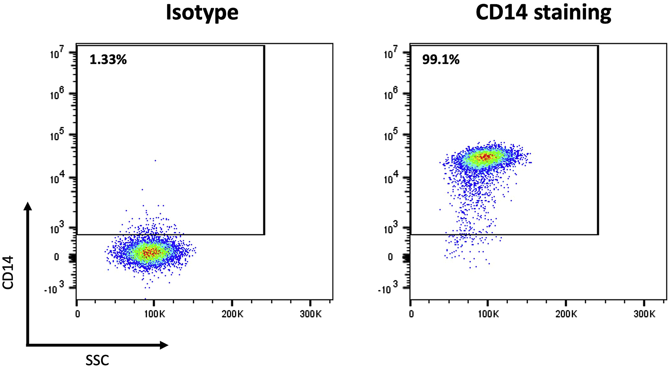 Cell Press: STAR Protocols