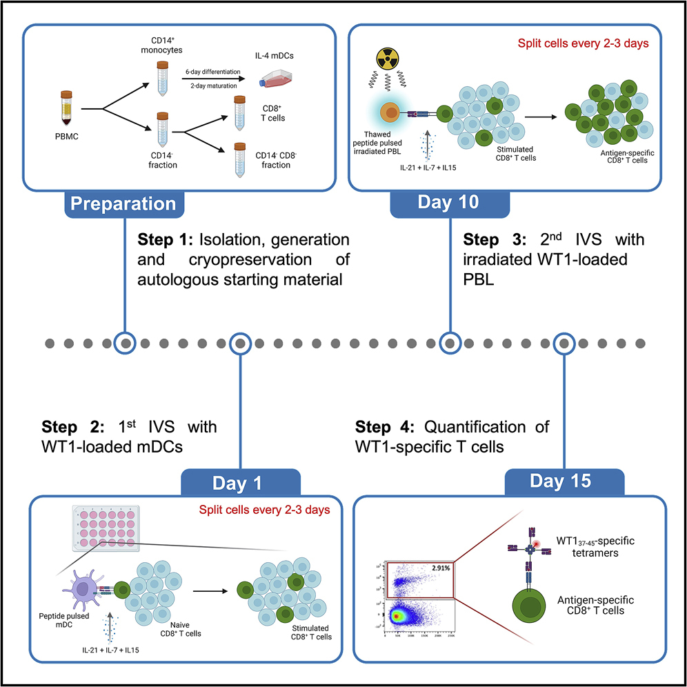 Cell Press: STAR Protocols