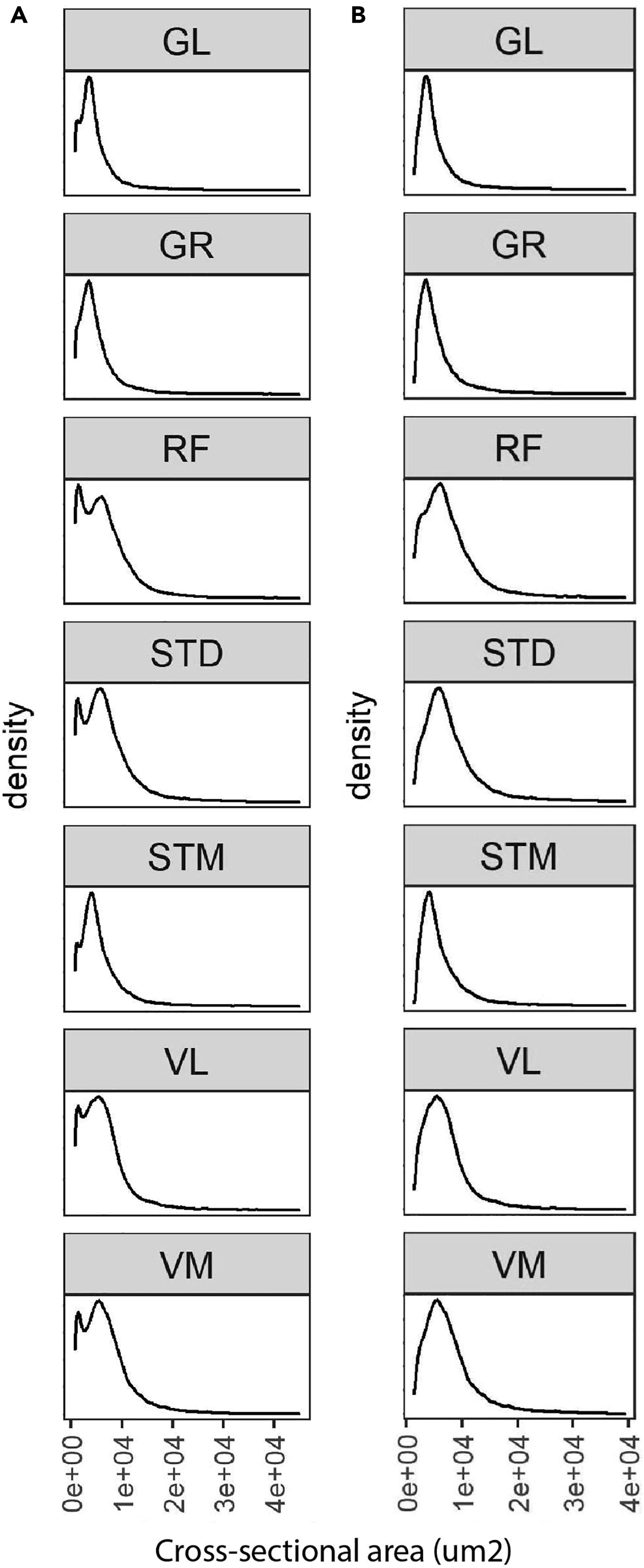 Cell Press: STAR Protocols