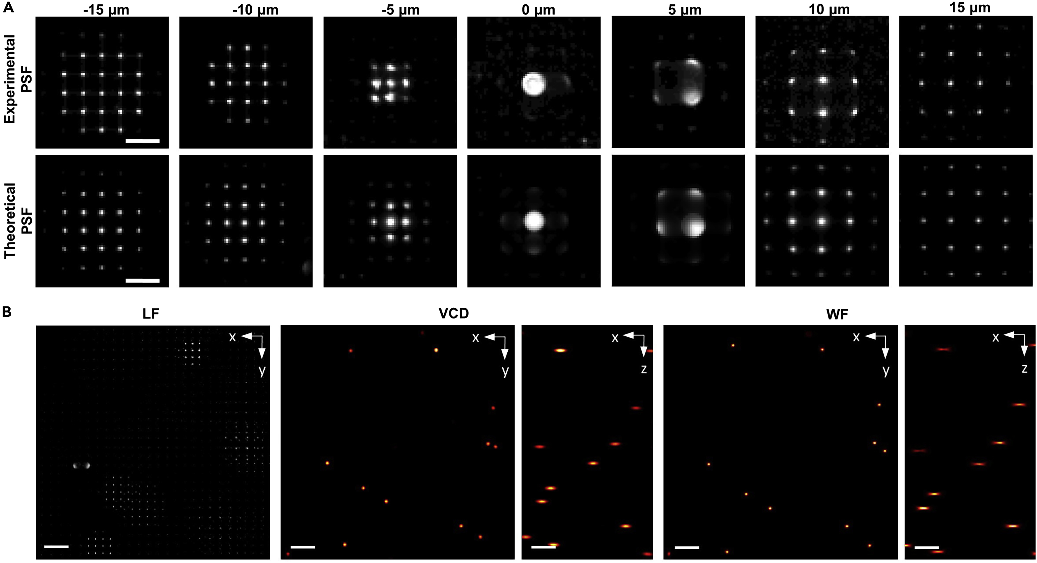 Cell Press: STAR Protocols