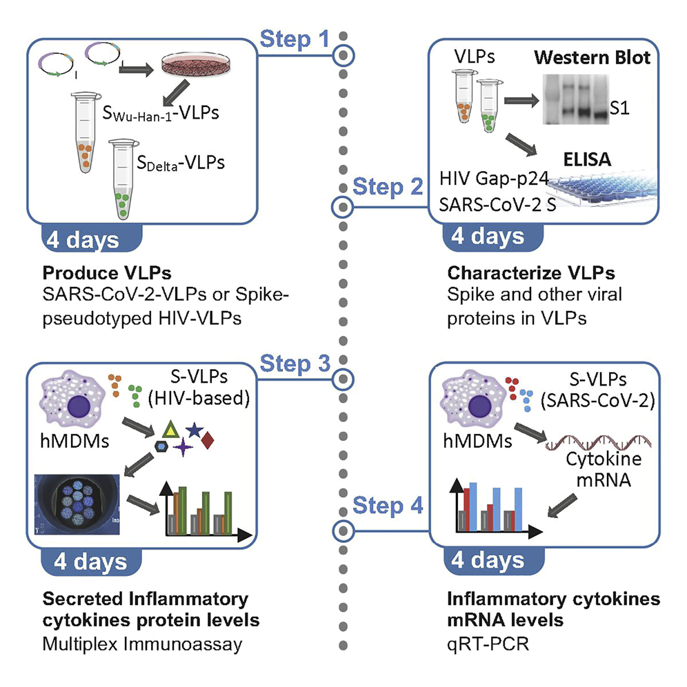 Cell Press: STAR Protocols