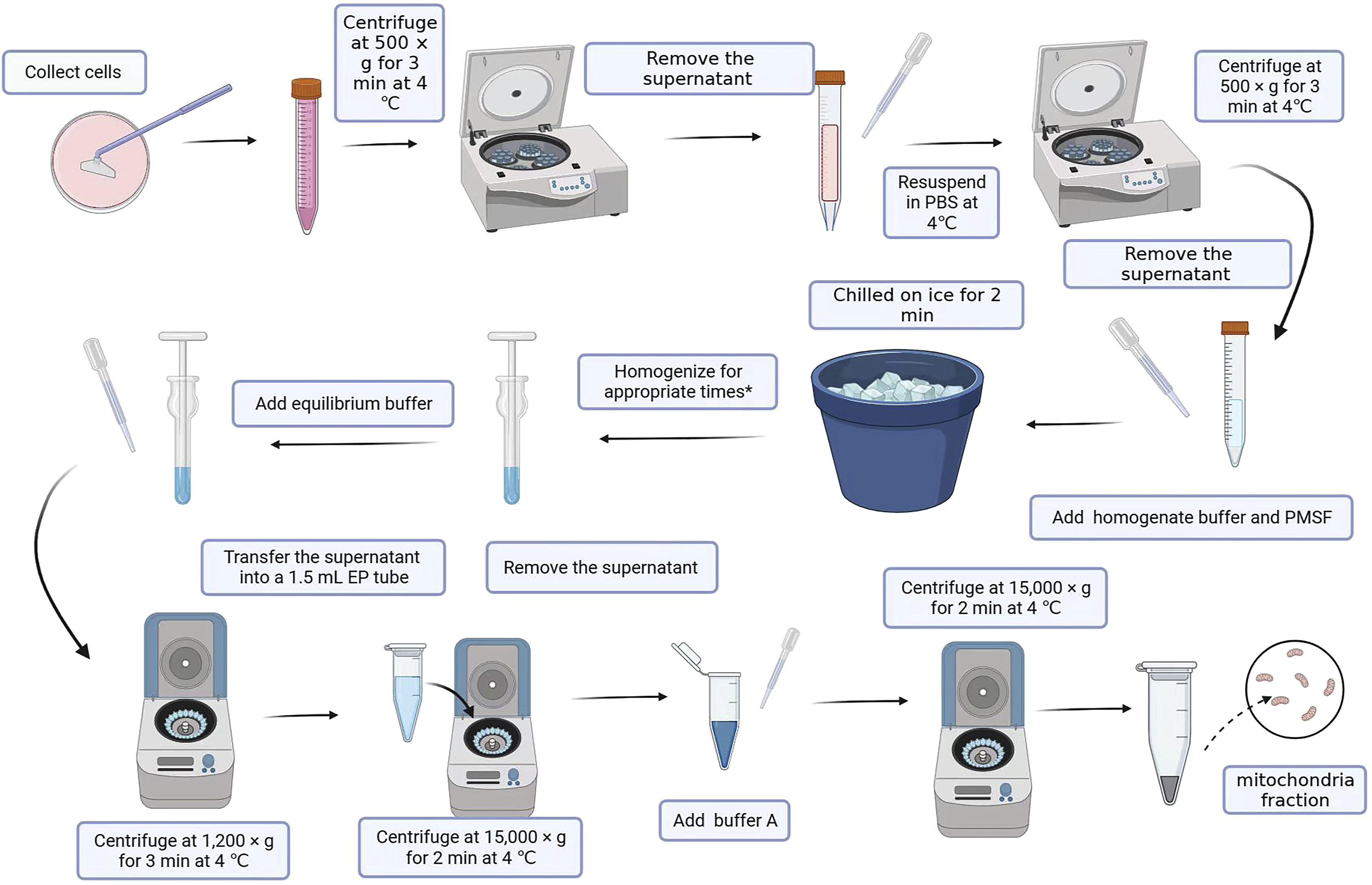 Cell Press: STAR Protocols