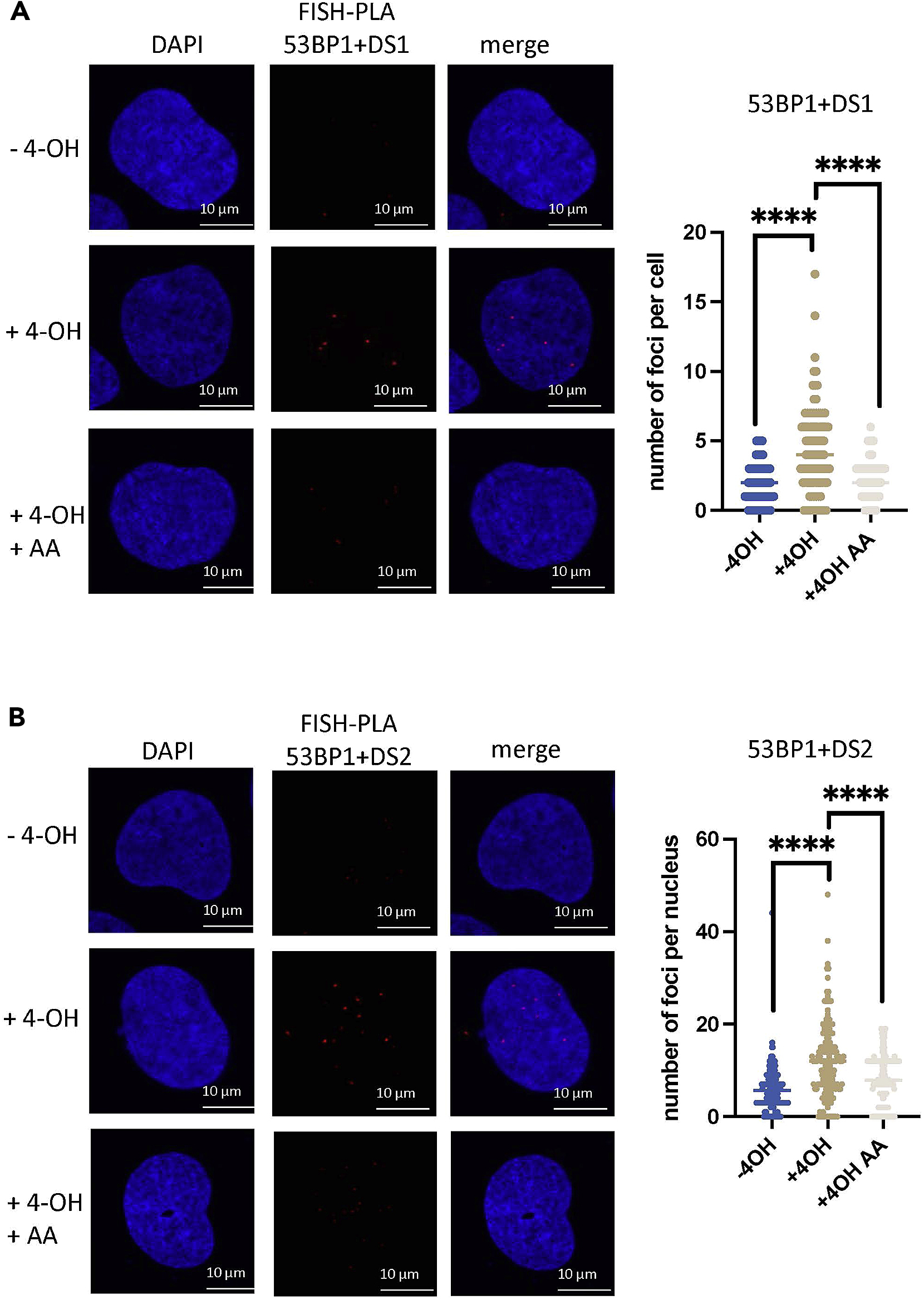 Cell Press: STAR Protocols