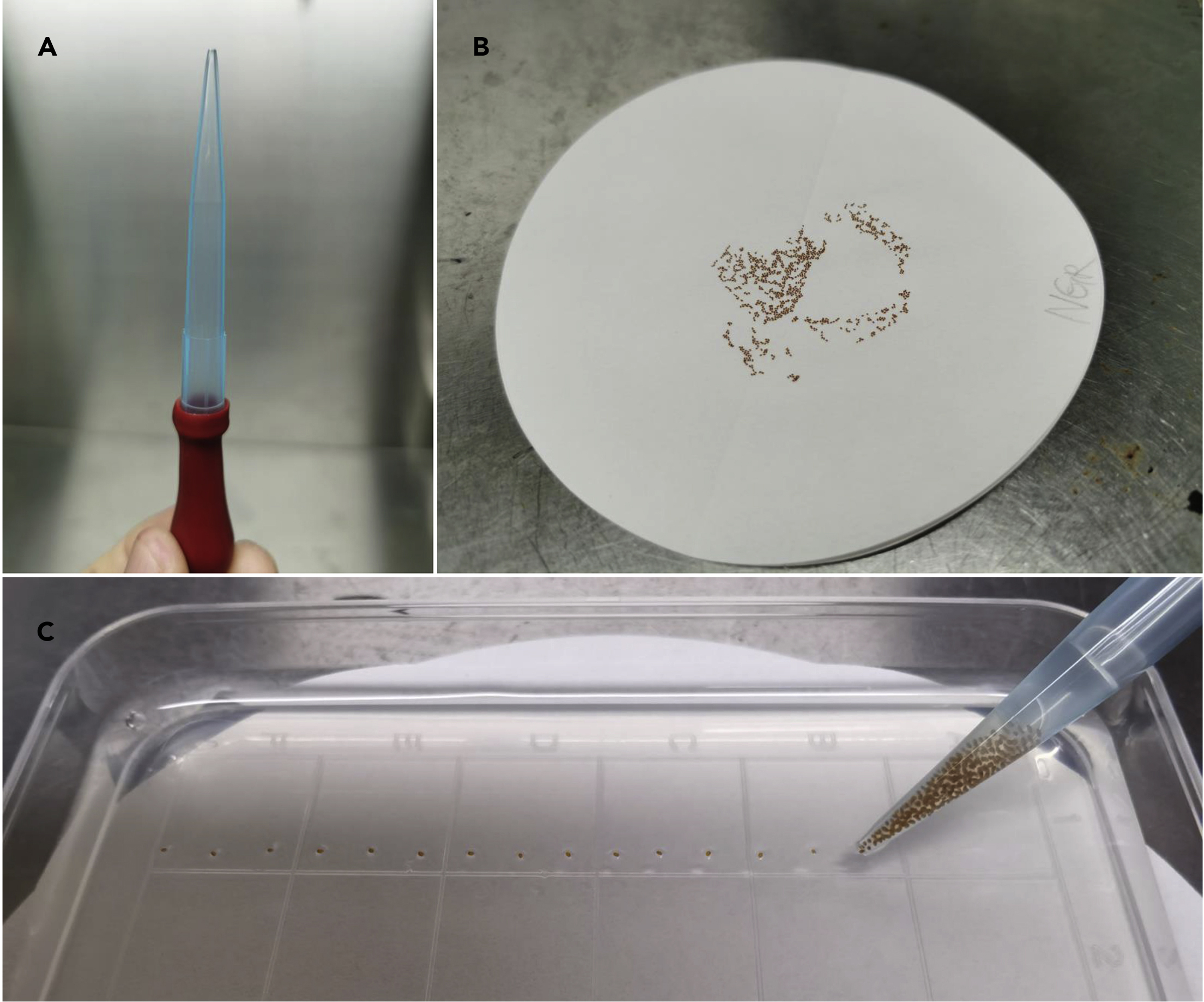 Cell Press: STAR Protocols