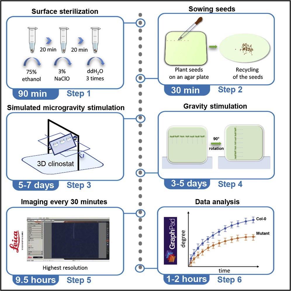 Cell Press: STAR Protocols