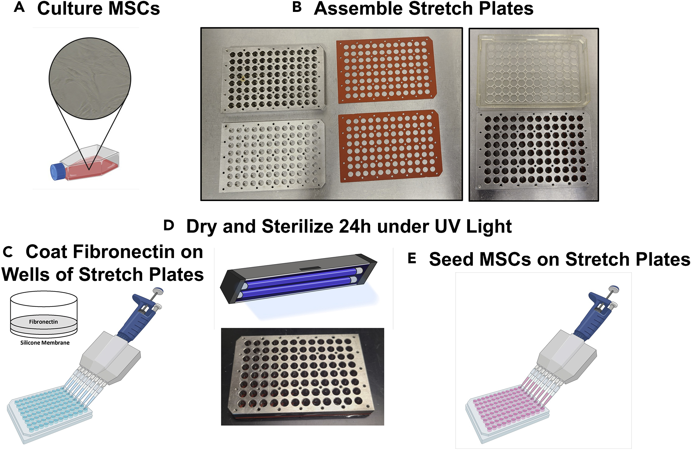Cell Press: STAR Protocols