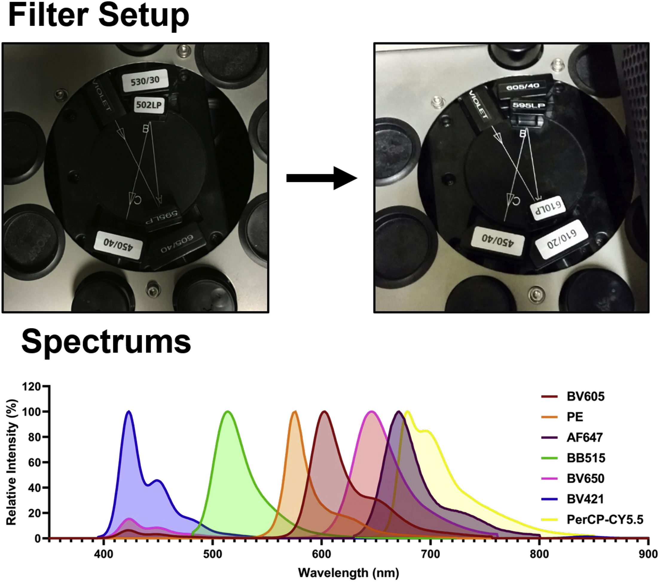 Cell Press: STAR Protocols