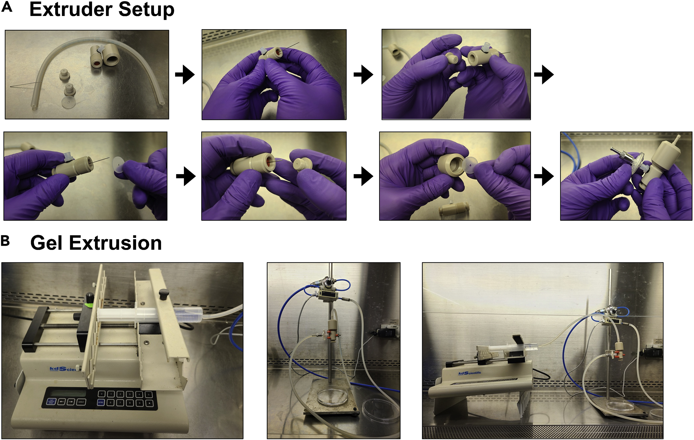 Cell Press: STAR Protocols