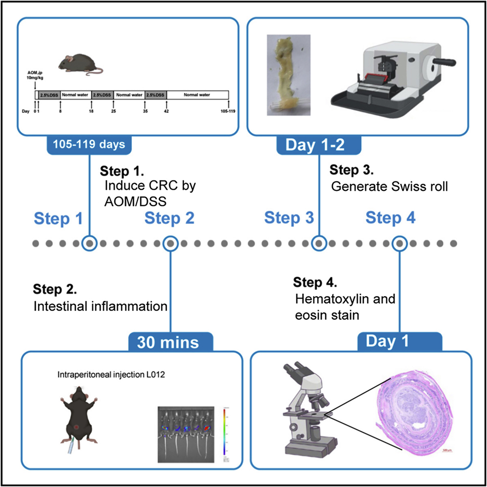 Cell Press: STAR Protocols