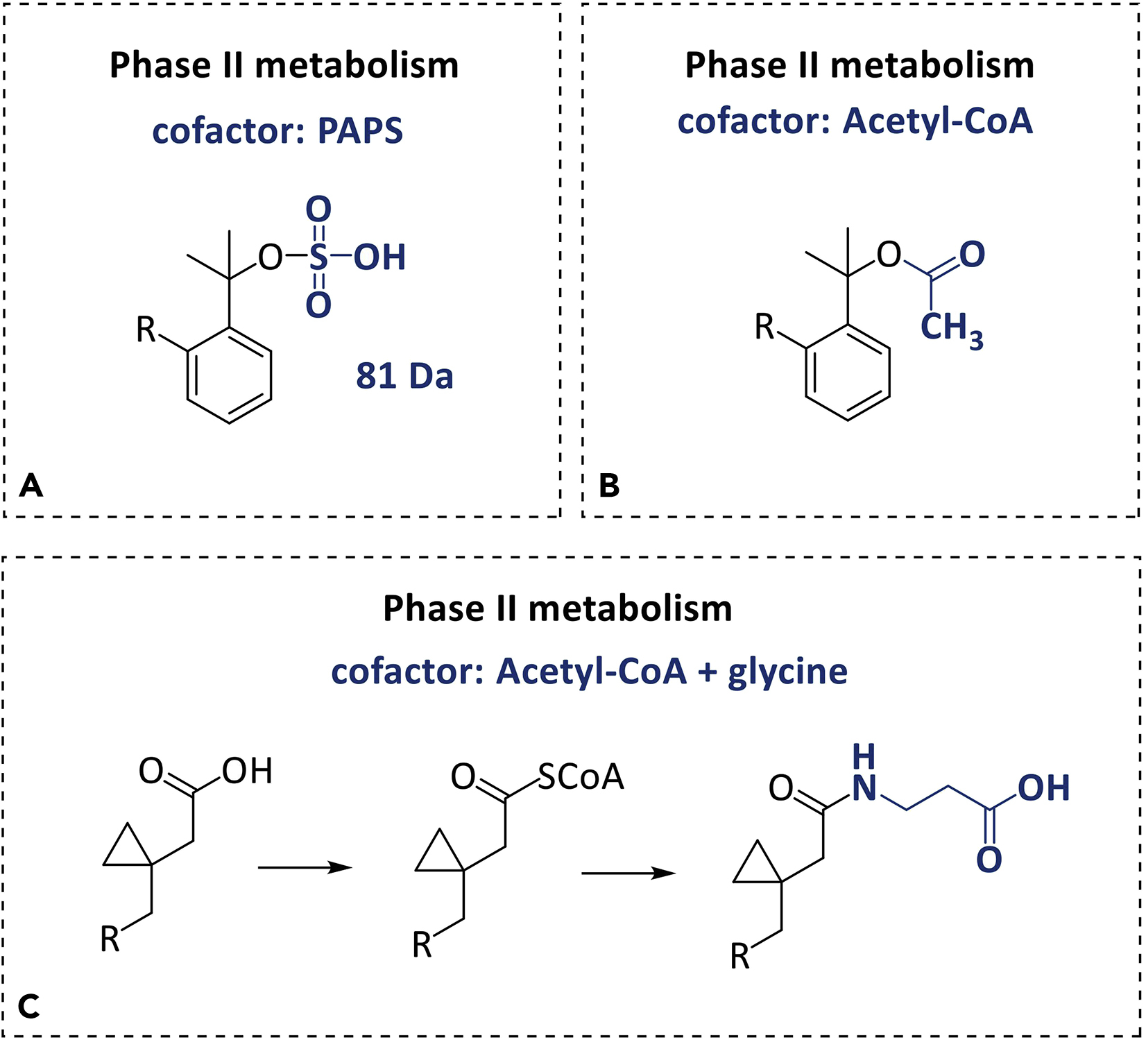 Cell Press: STAR Protocols