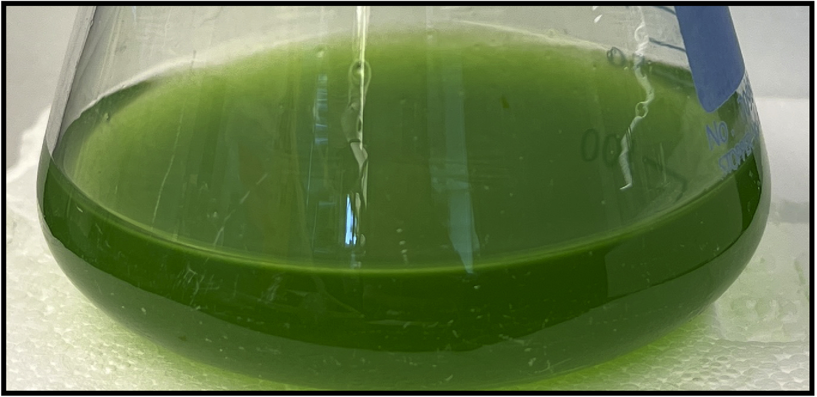 Cell Press: STAR Protocols