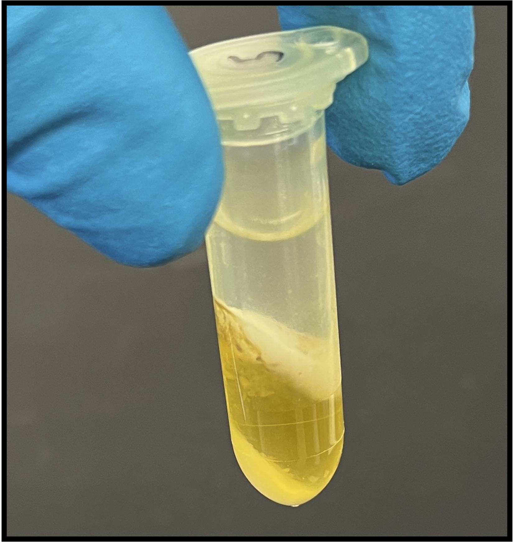 Cell Press: STAR Protocols