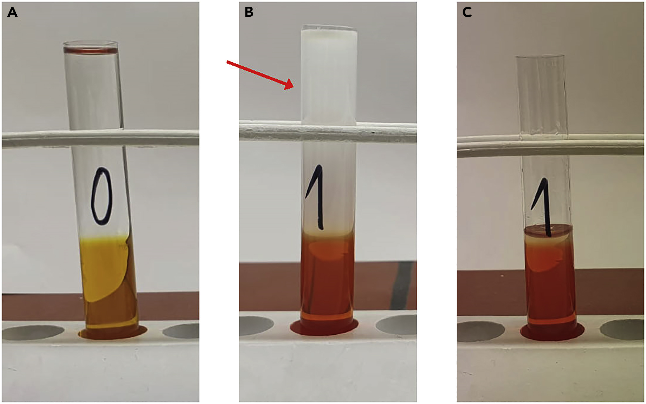 Cell Press: STAR Protocols