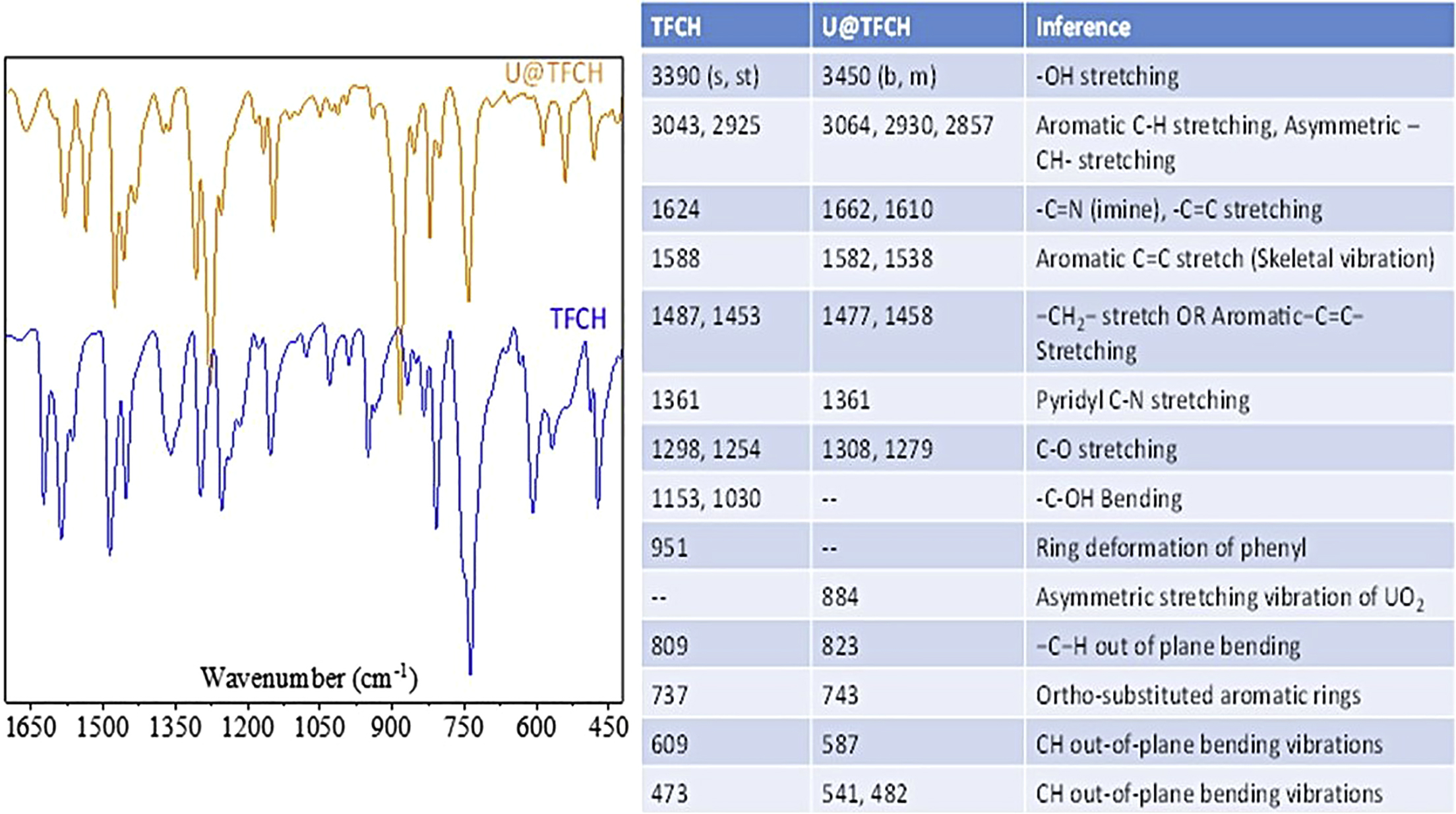 Cell Press: STAR Protocols