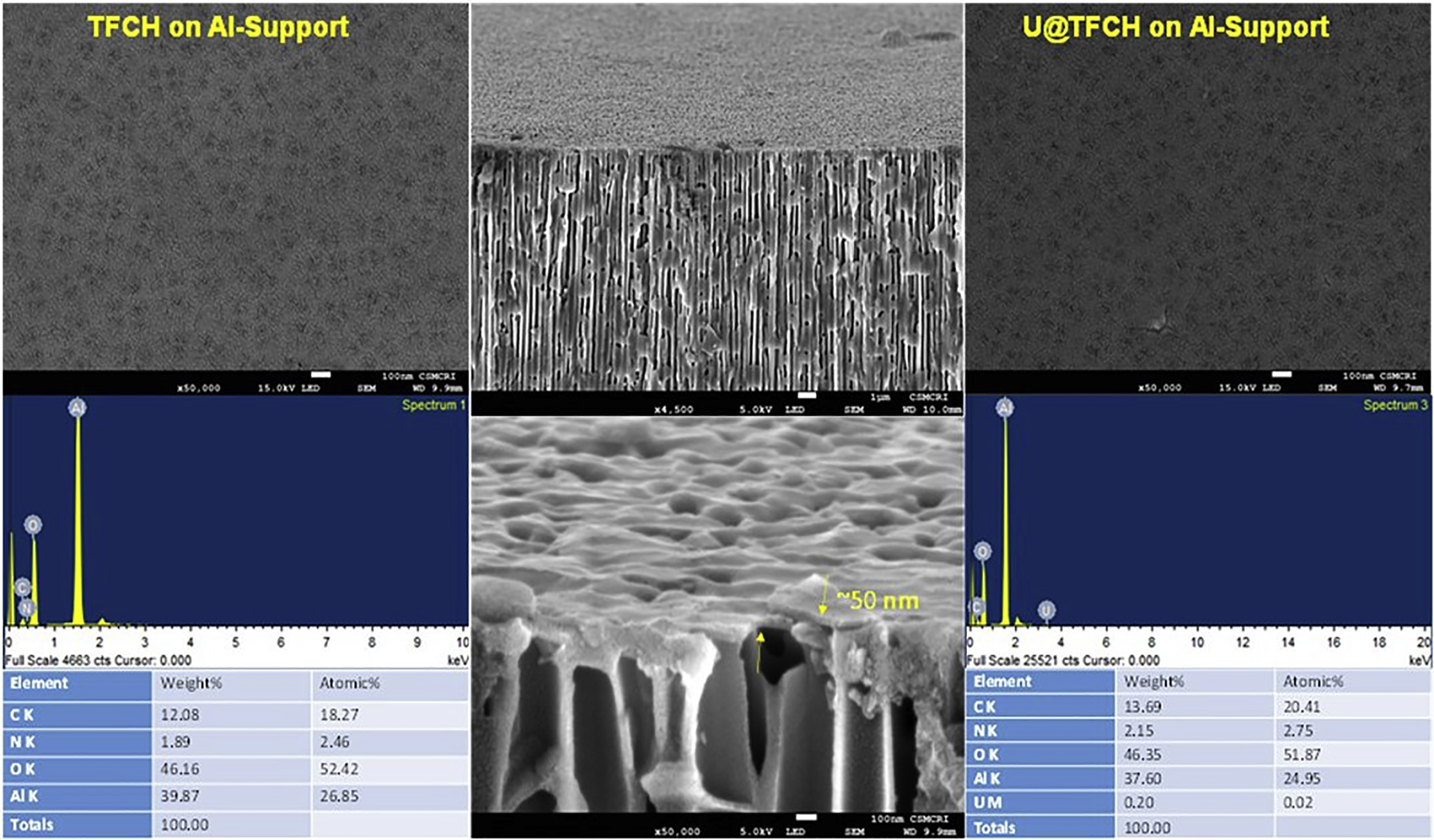 Cell Press: STAR Protocols