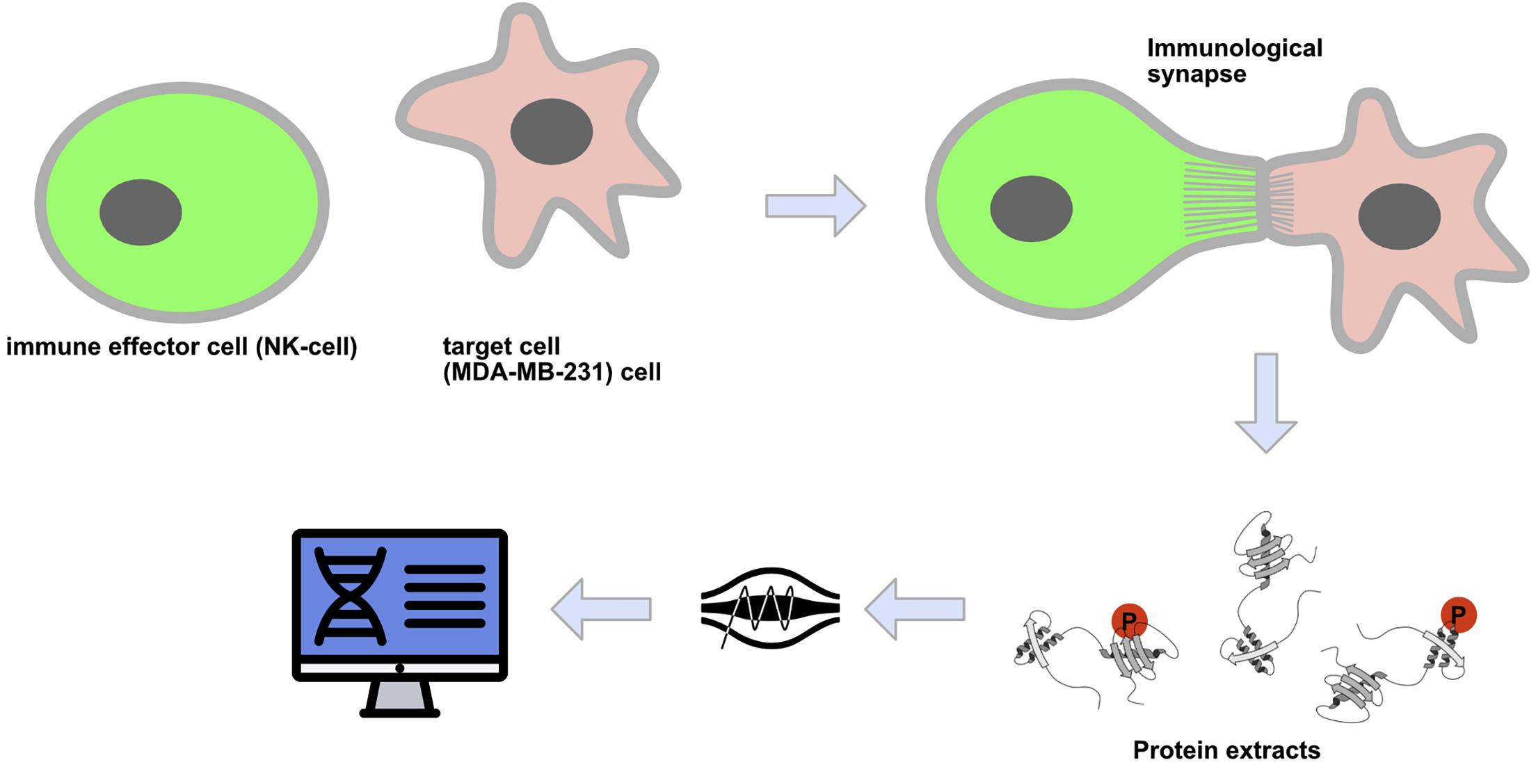 Cell Press: STAR Protocols