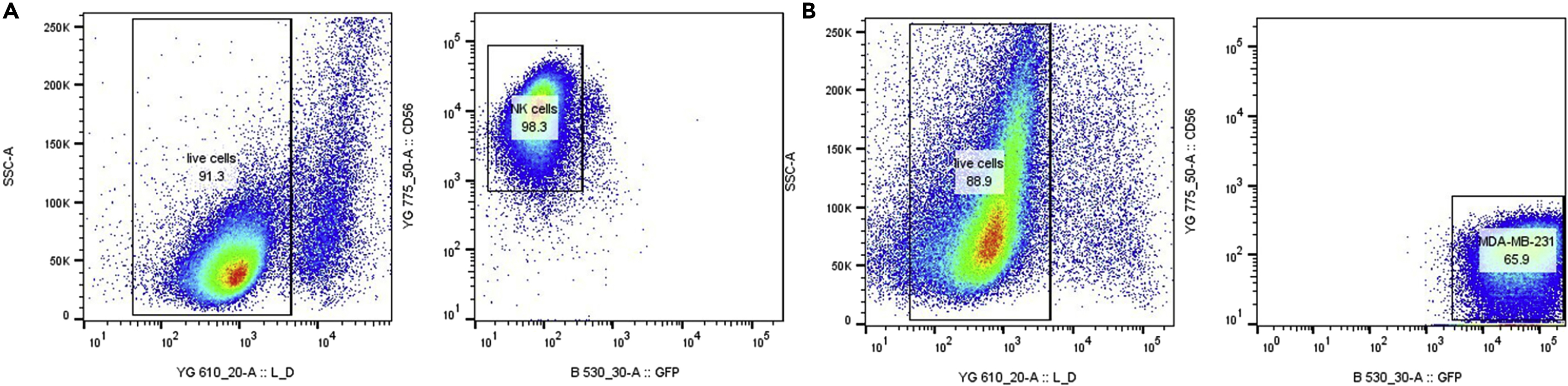 Cell Press: STAR Protocols