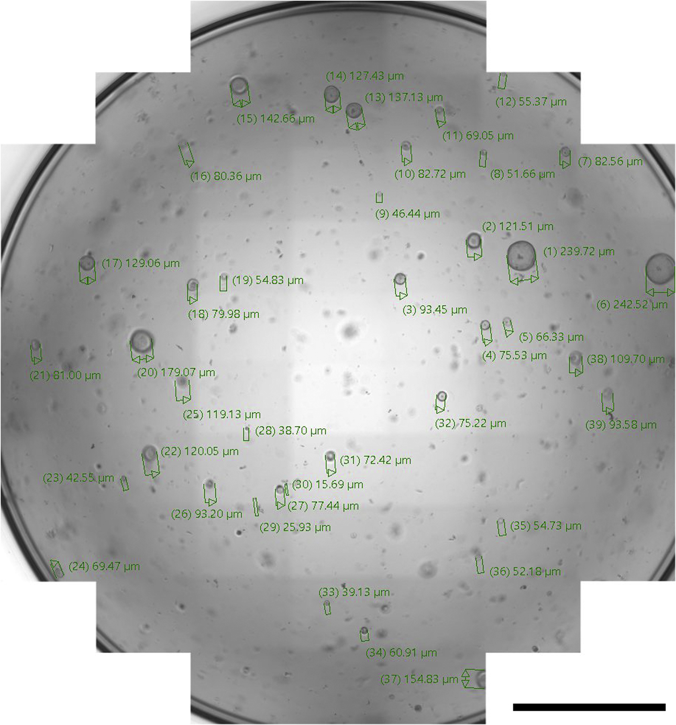 Cell Press: STAR Protocols