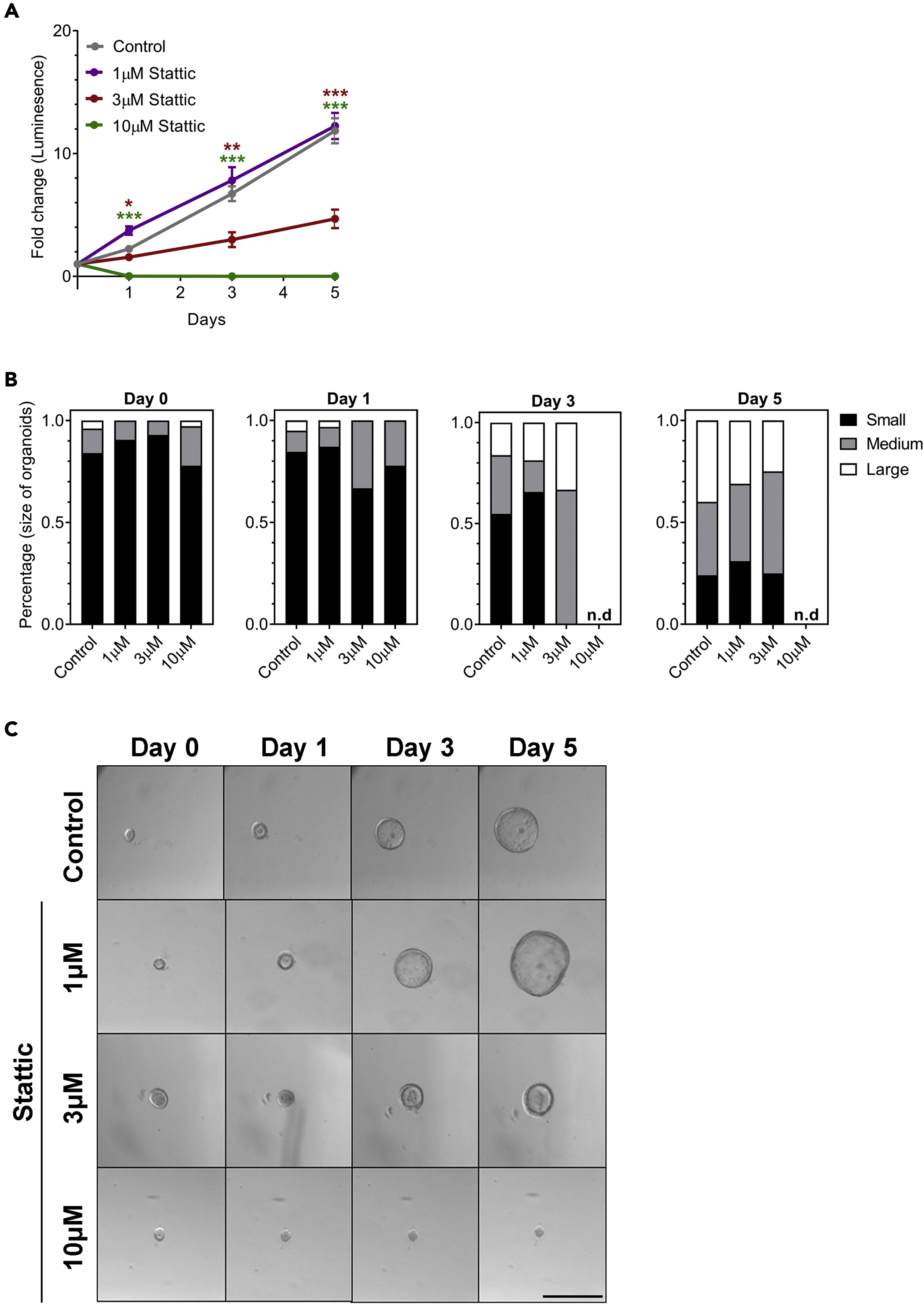 Cell Press: STAR Protocols