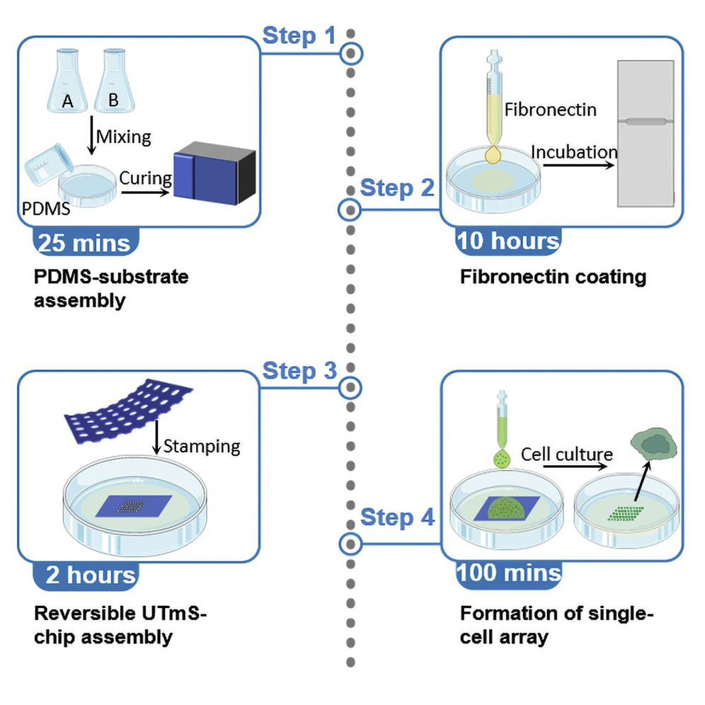 Cell Press: STAR Protocols