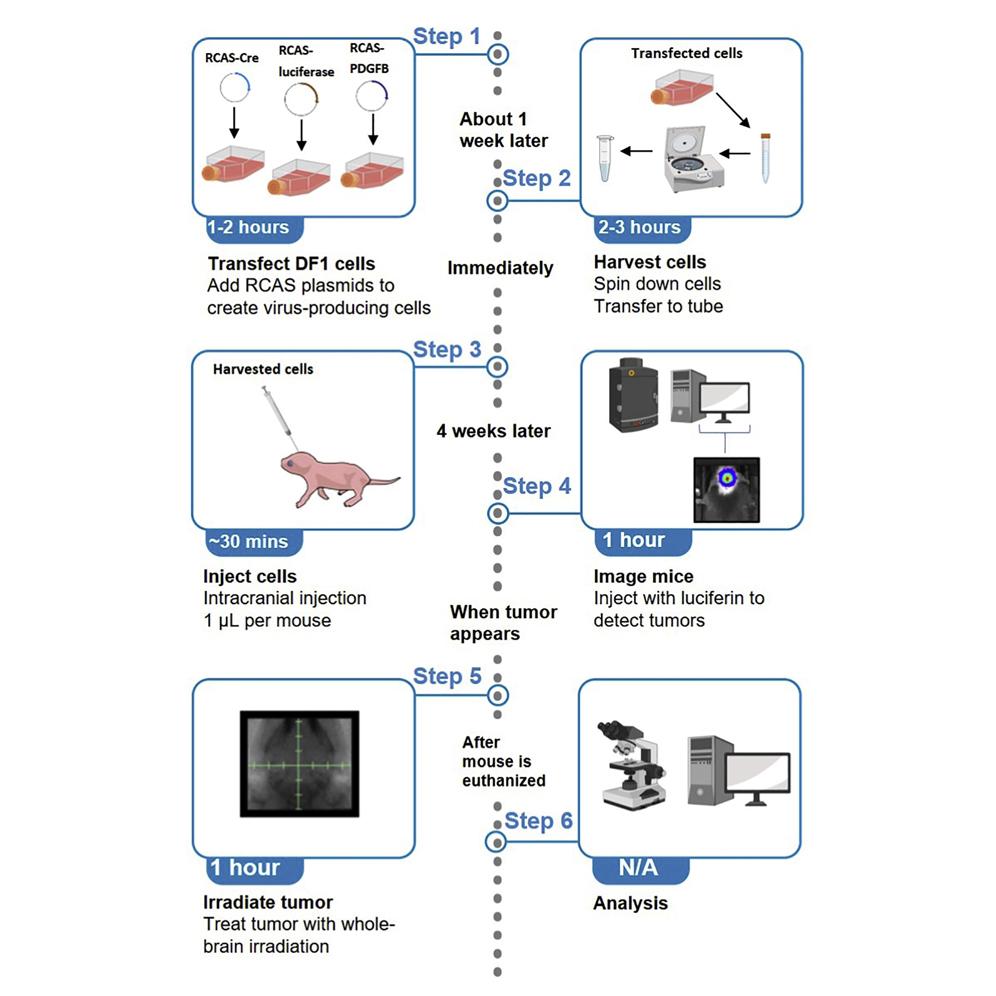 Cell Press: STAR Protocols