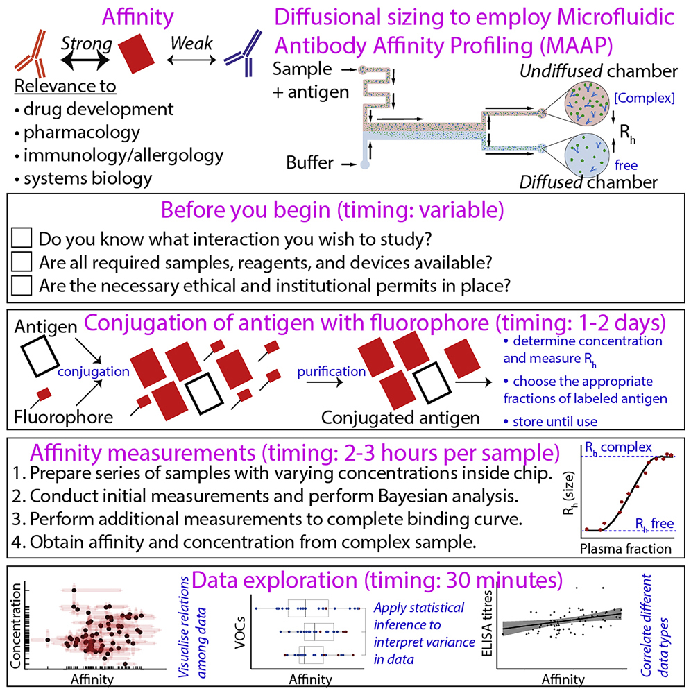 Cell Press: STAR Protocols