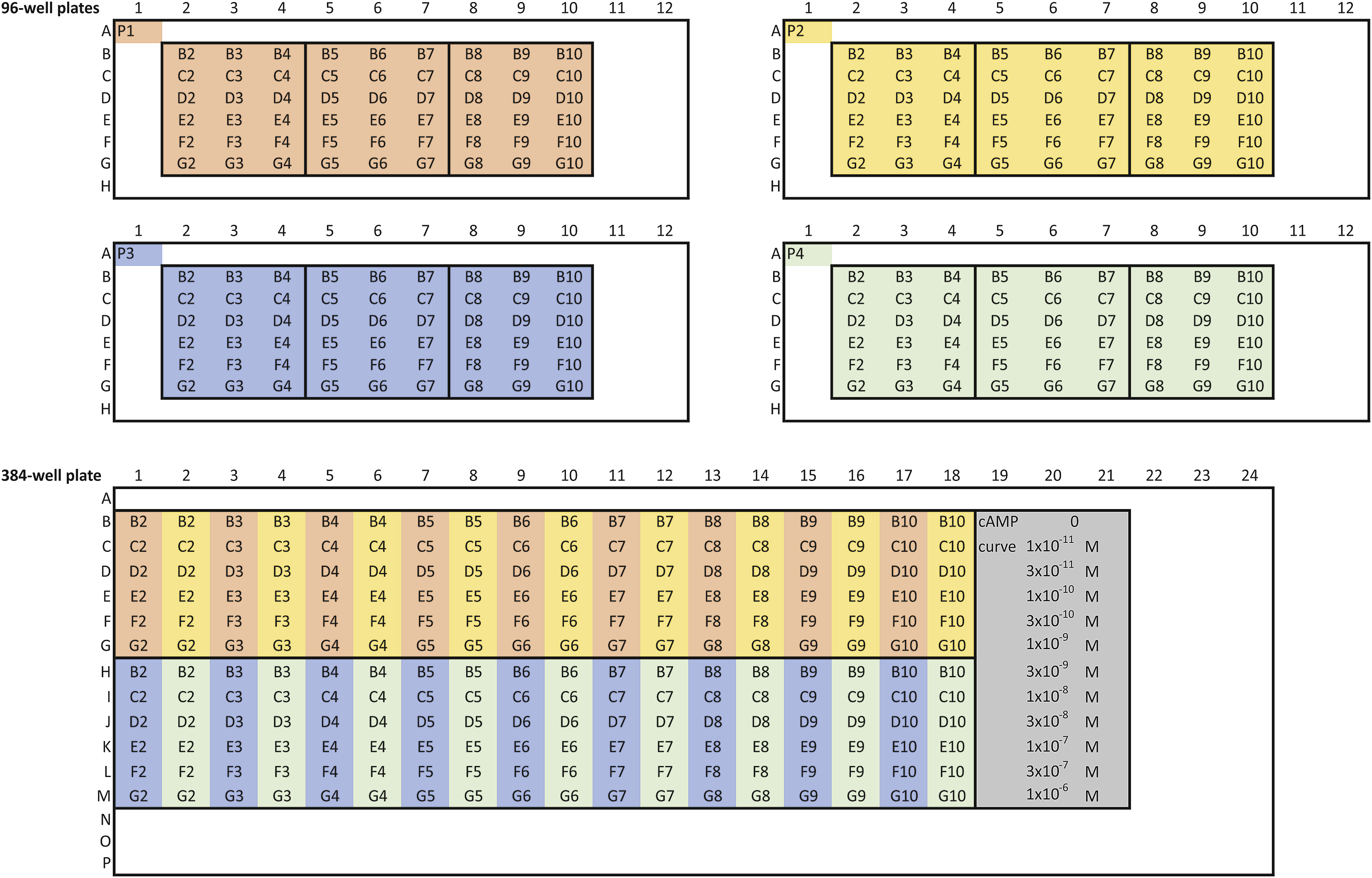 Cell Press: STAR Protocols