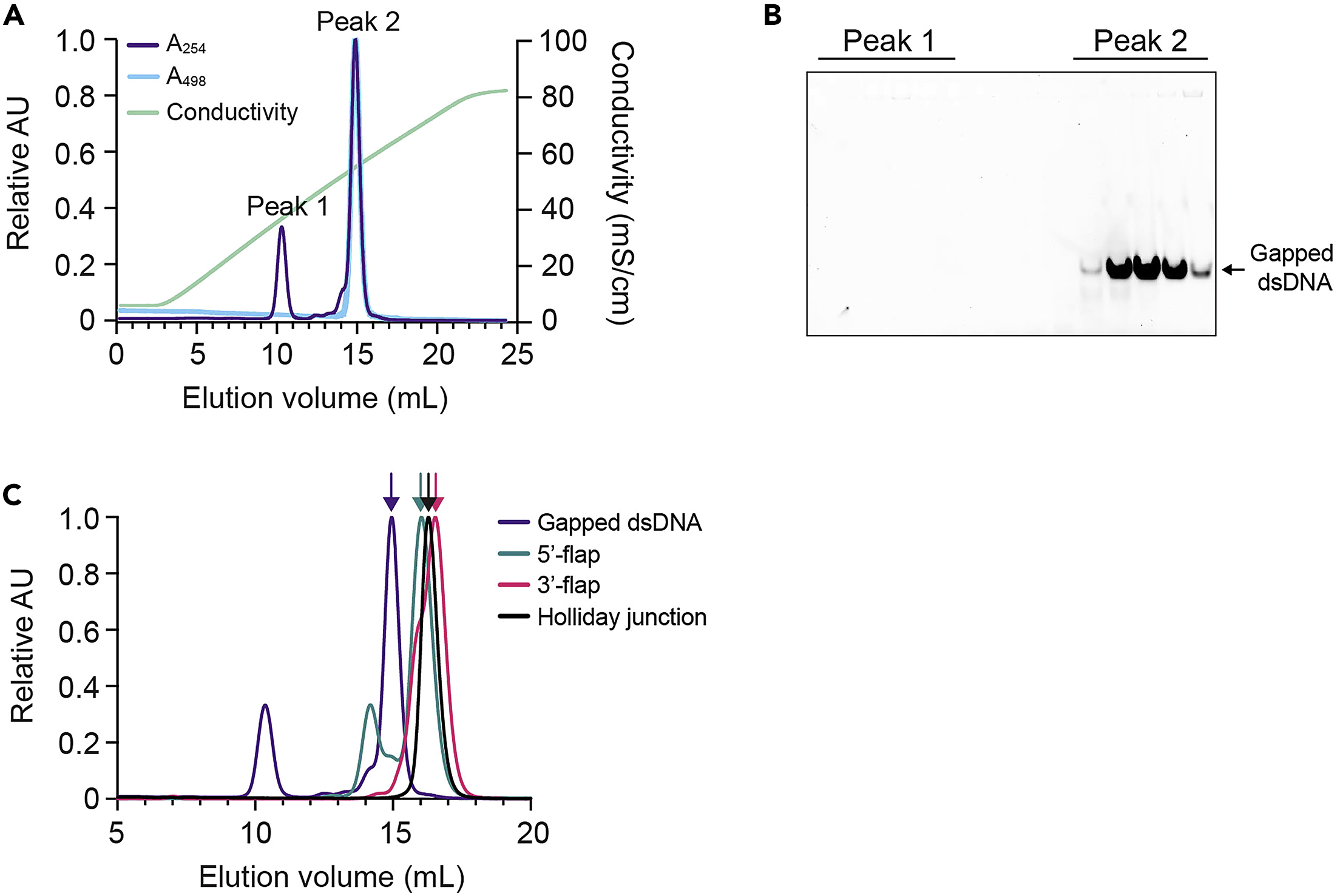 Cell Press: STAR Protocols