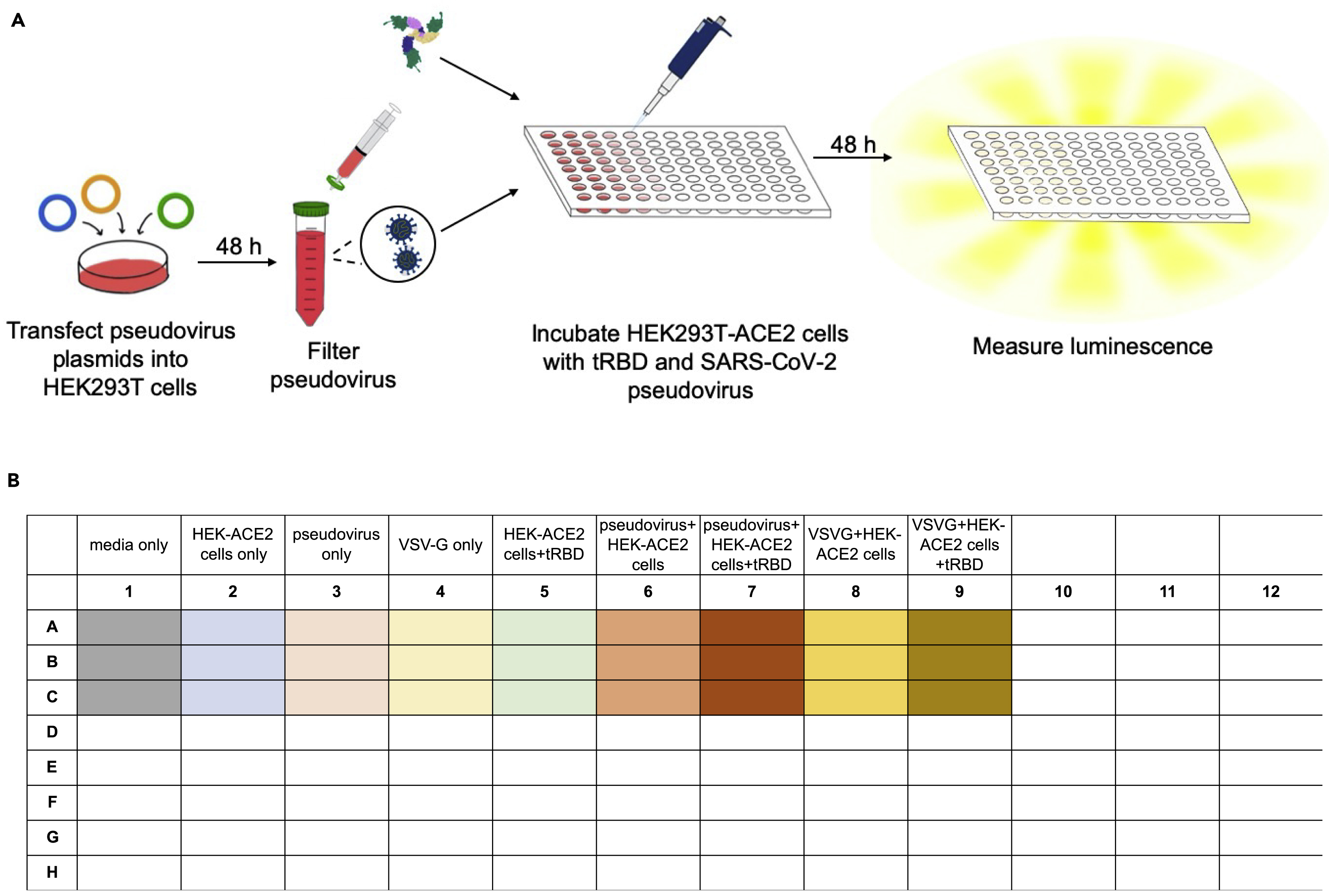 Cell Press: STAR Protocols
