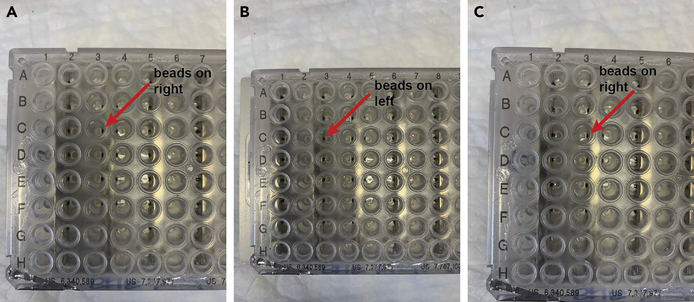 Cell Press: STAR Protocols