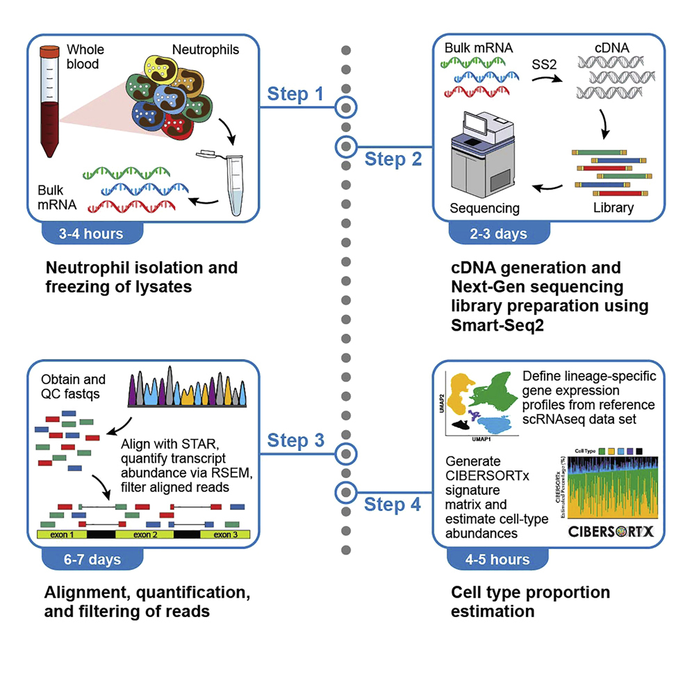 Cell Press: STAR Protocols