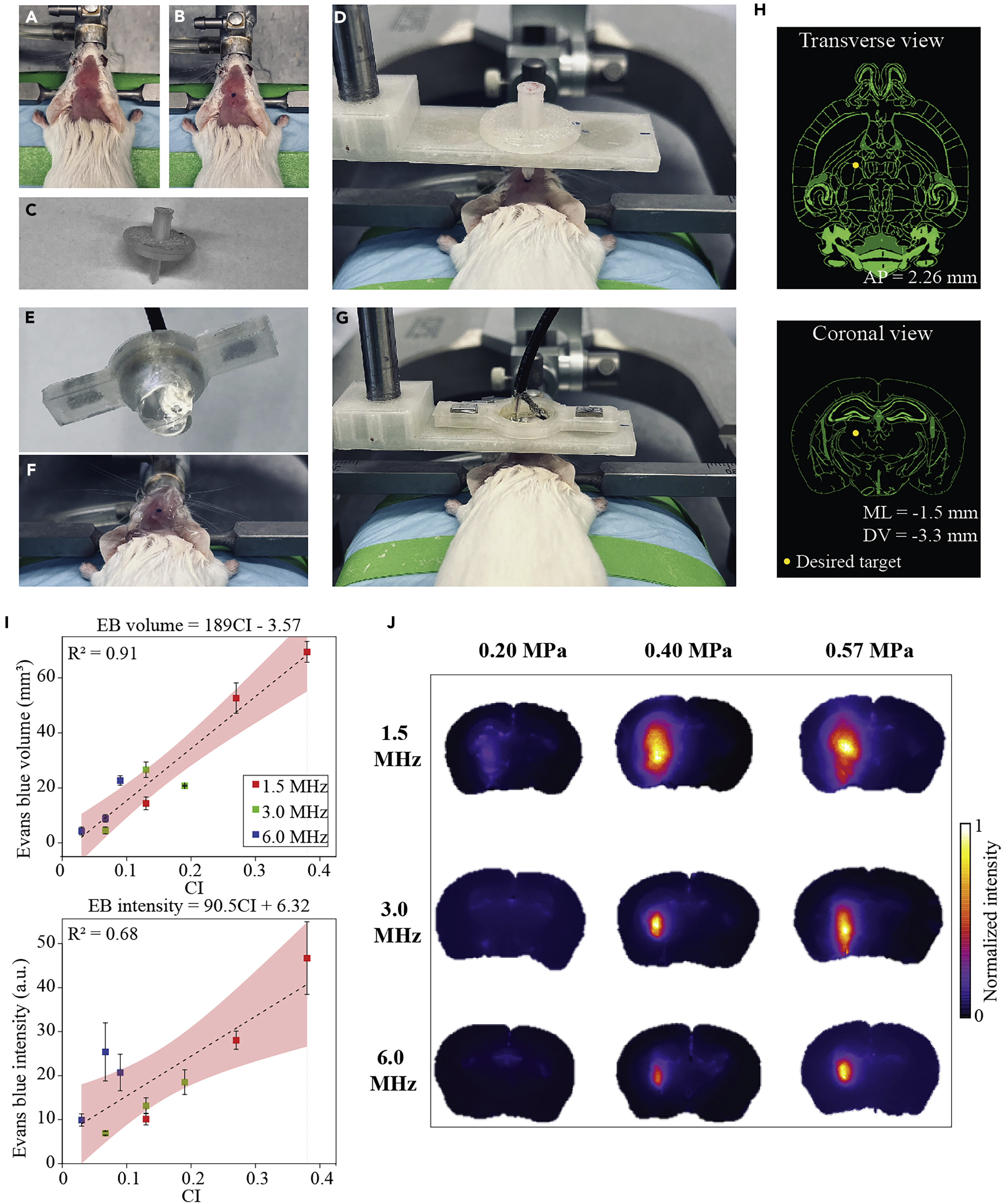 Cell Press: STAR Protocols