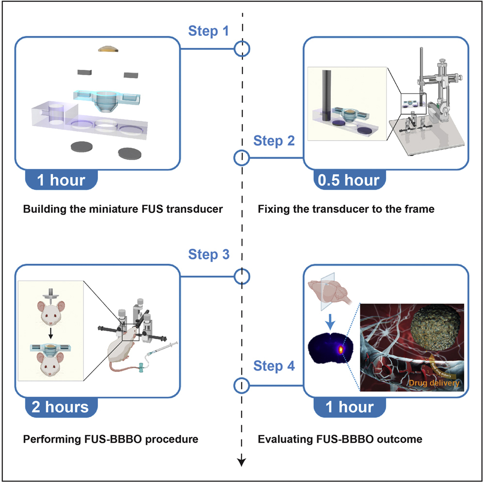 Cell Press: STAR Protocols