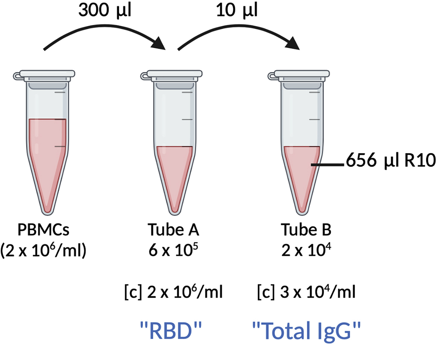 Cell Press: STAR Protocols