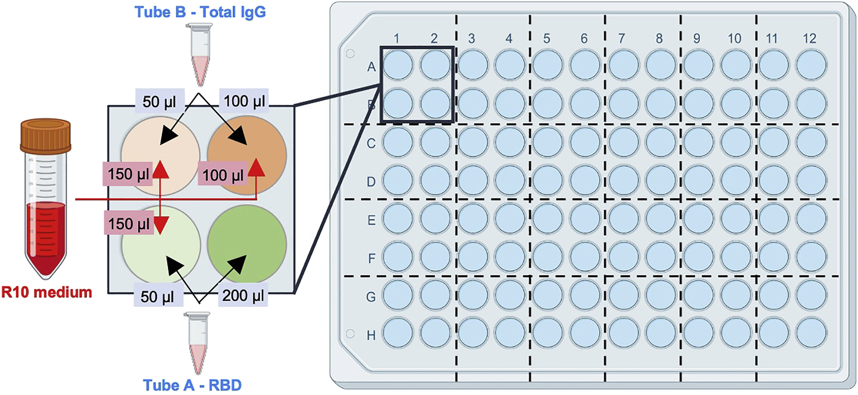 Cell Press: STAR Protocols