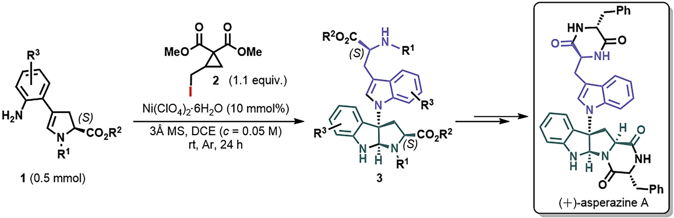 Cell Press: STAR Protocols