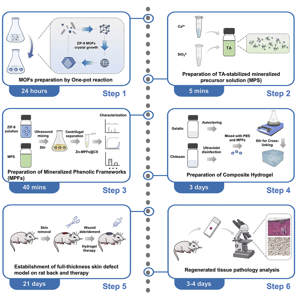 Cell Press: STAR Protocols