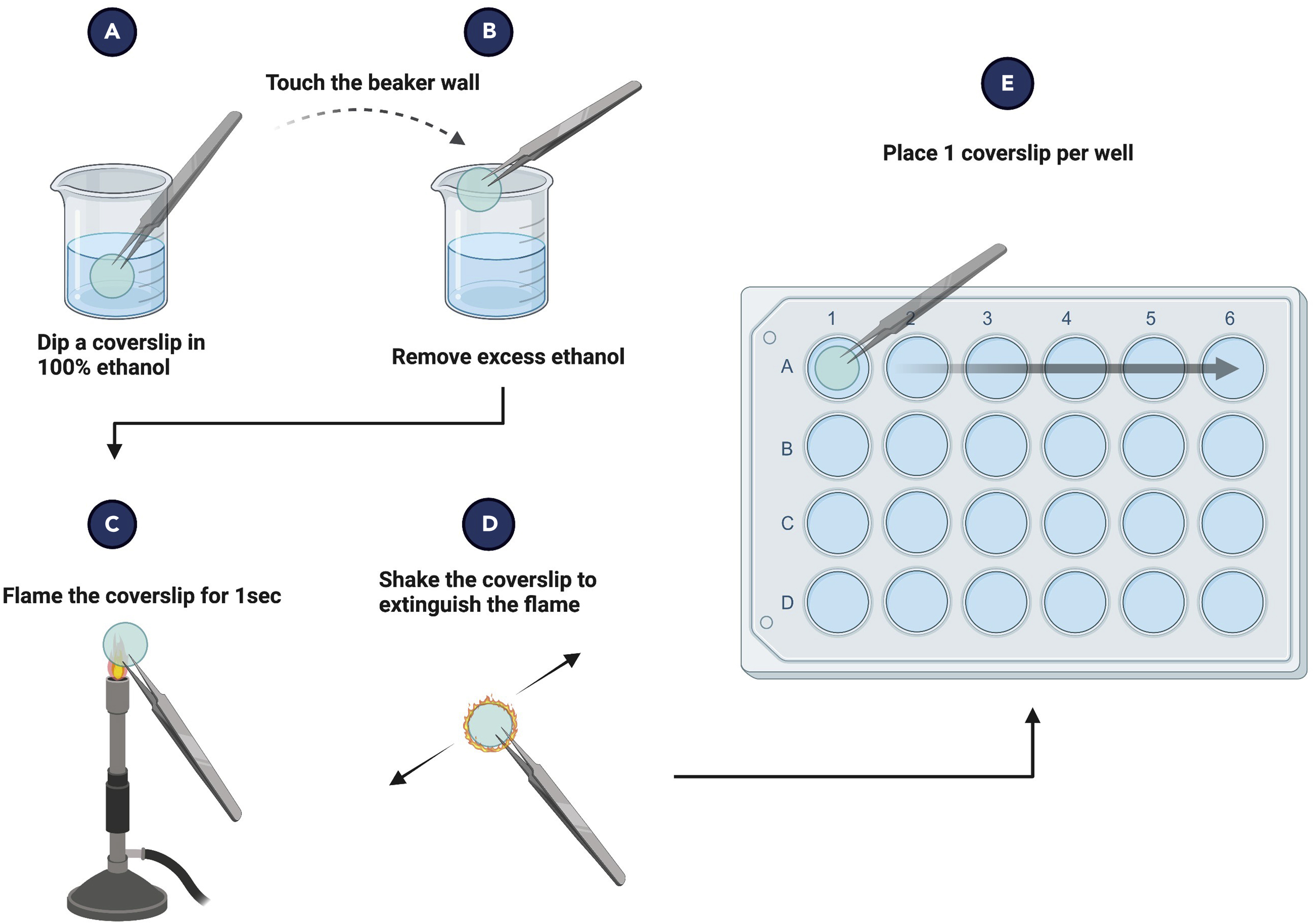 Cell Press: STAR Protocols