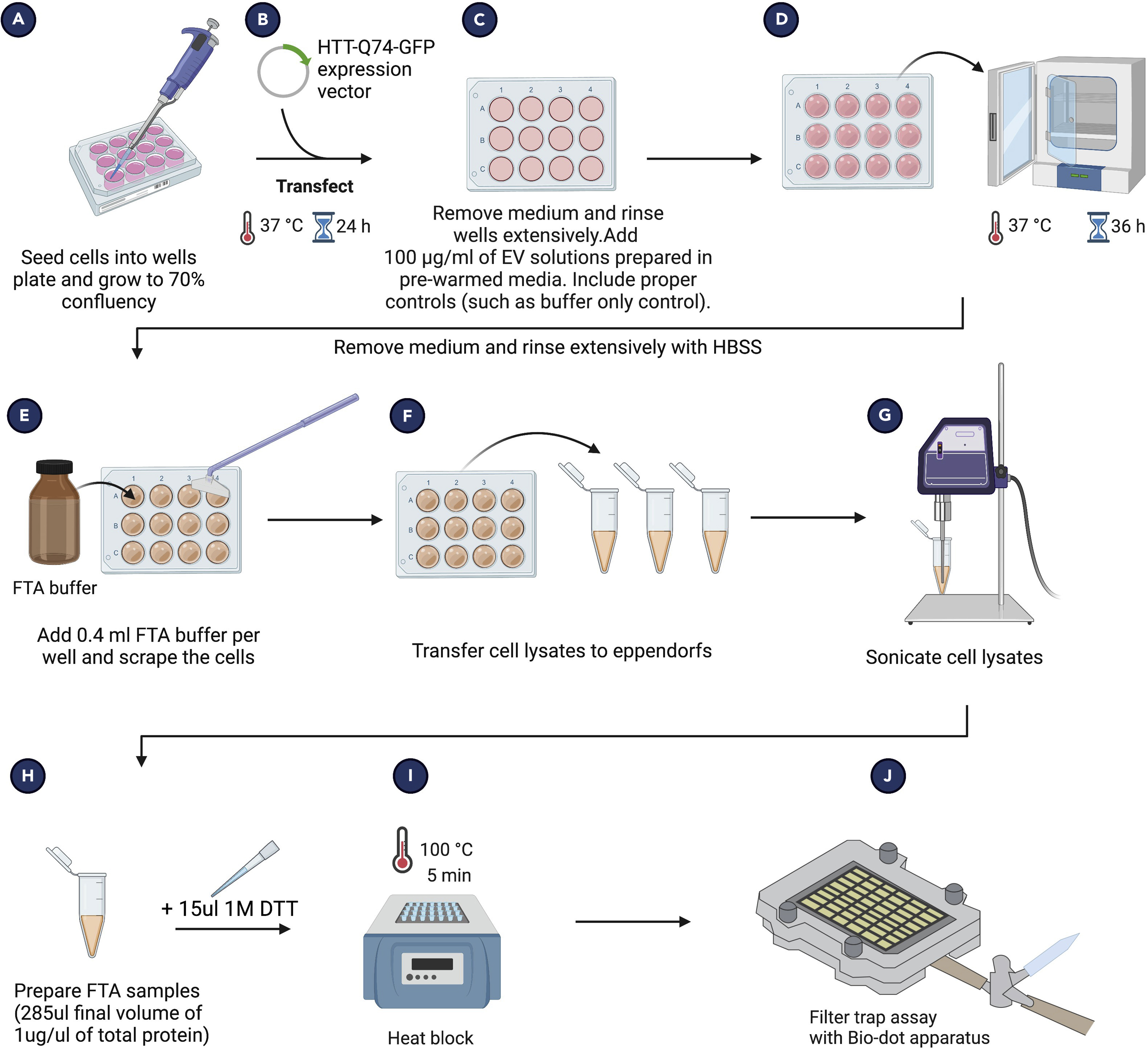 Cell Press: STAR Protocols